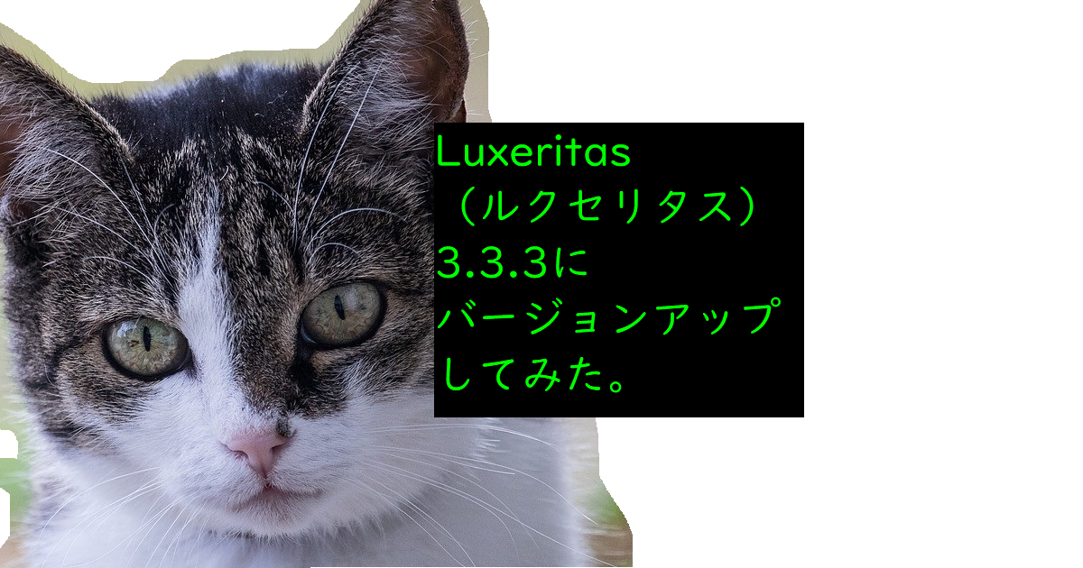 luxe333 | make lemonade jp