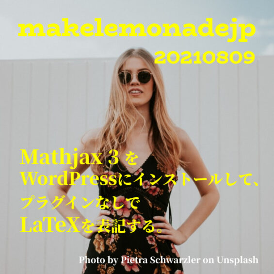 Mathjax 3 をWordPressにインストールして、プラグインなしでLaTeXを表記する。 | make lemonade jp