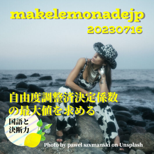 自由度調整済決定係数の最大値を求める【国語と決断力】 | make lemonade jp